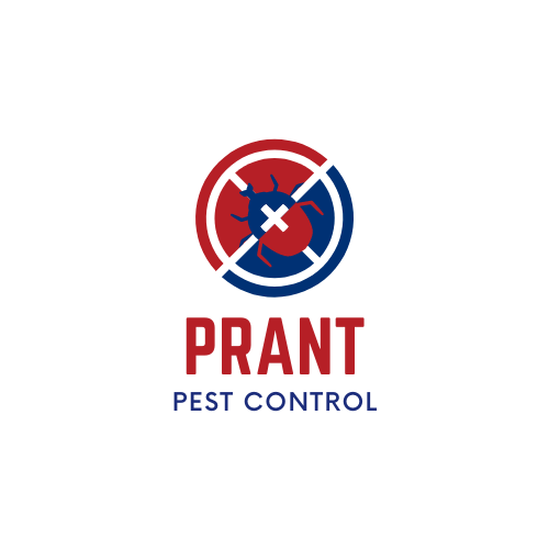 Pest Control Services